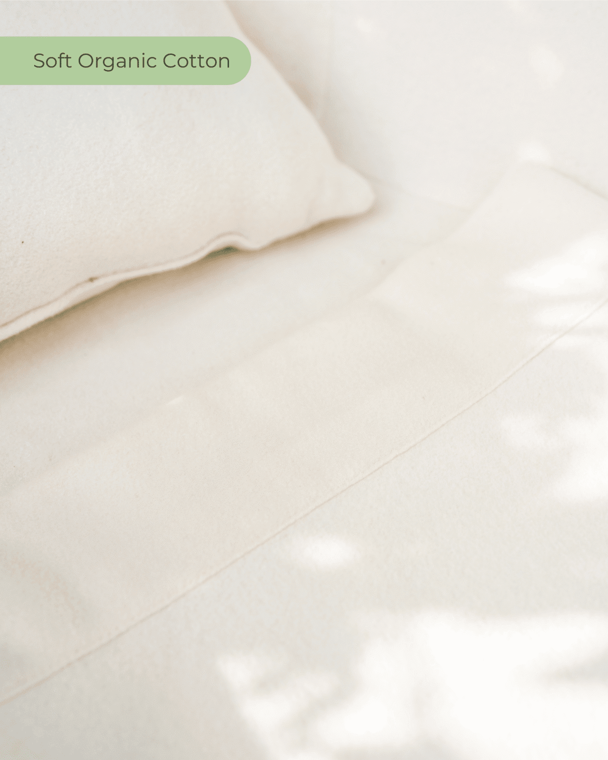 Loop Living Cocoon™ - Loop Biotech