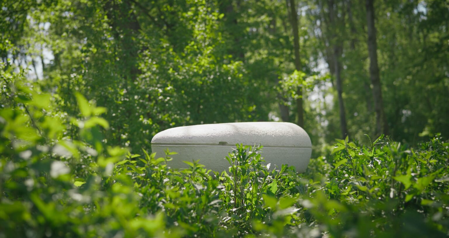 Loop Living Cocoon™ - Loop Biotech