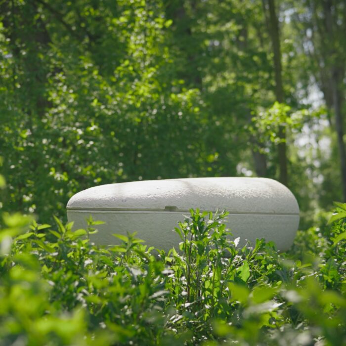 Loop Living Cocoon™ - Loop Biotech