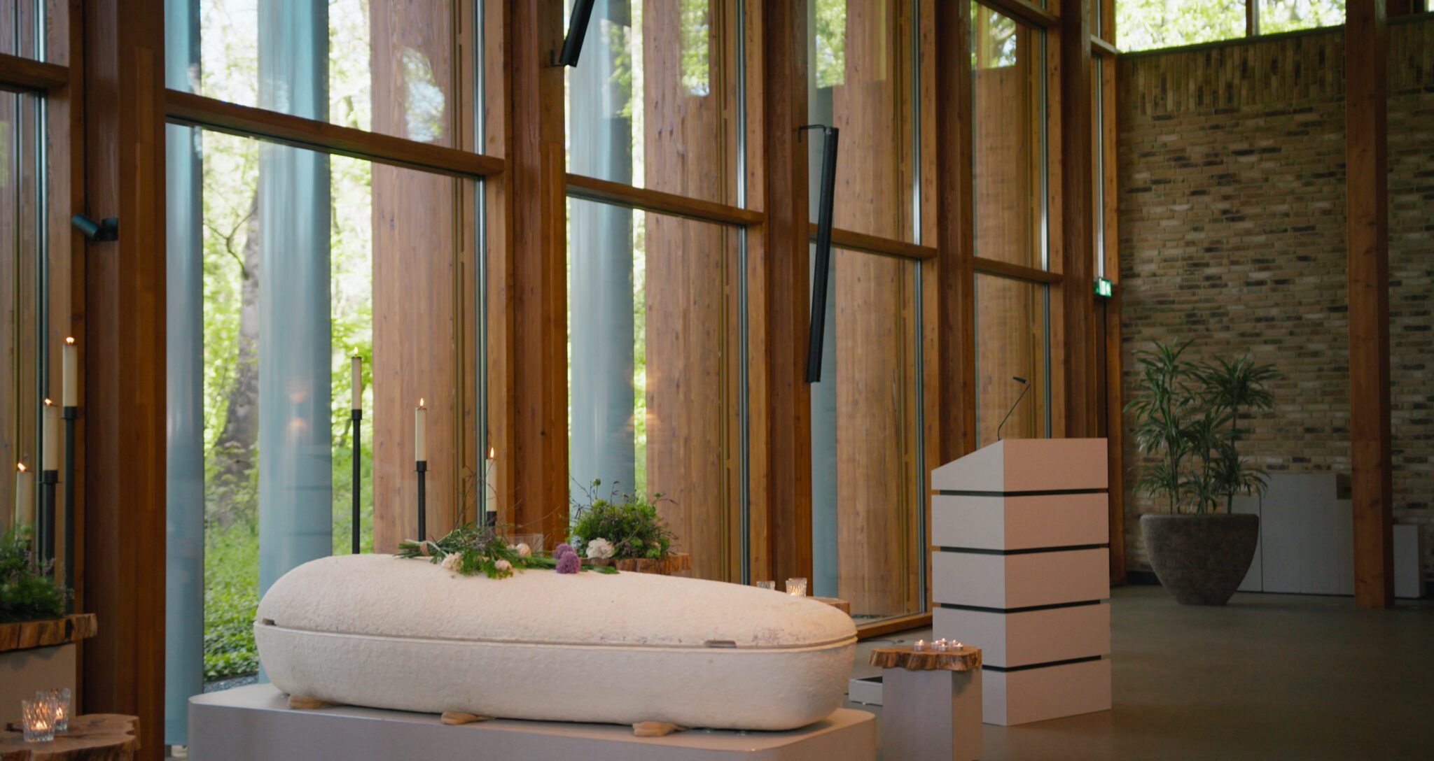 Loop Living Cocoon™ - Loop Biotech