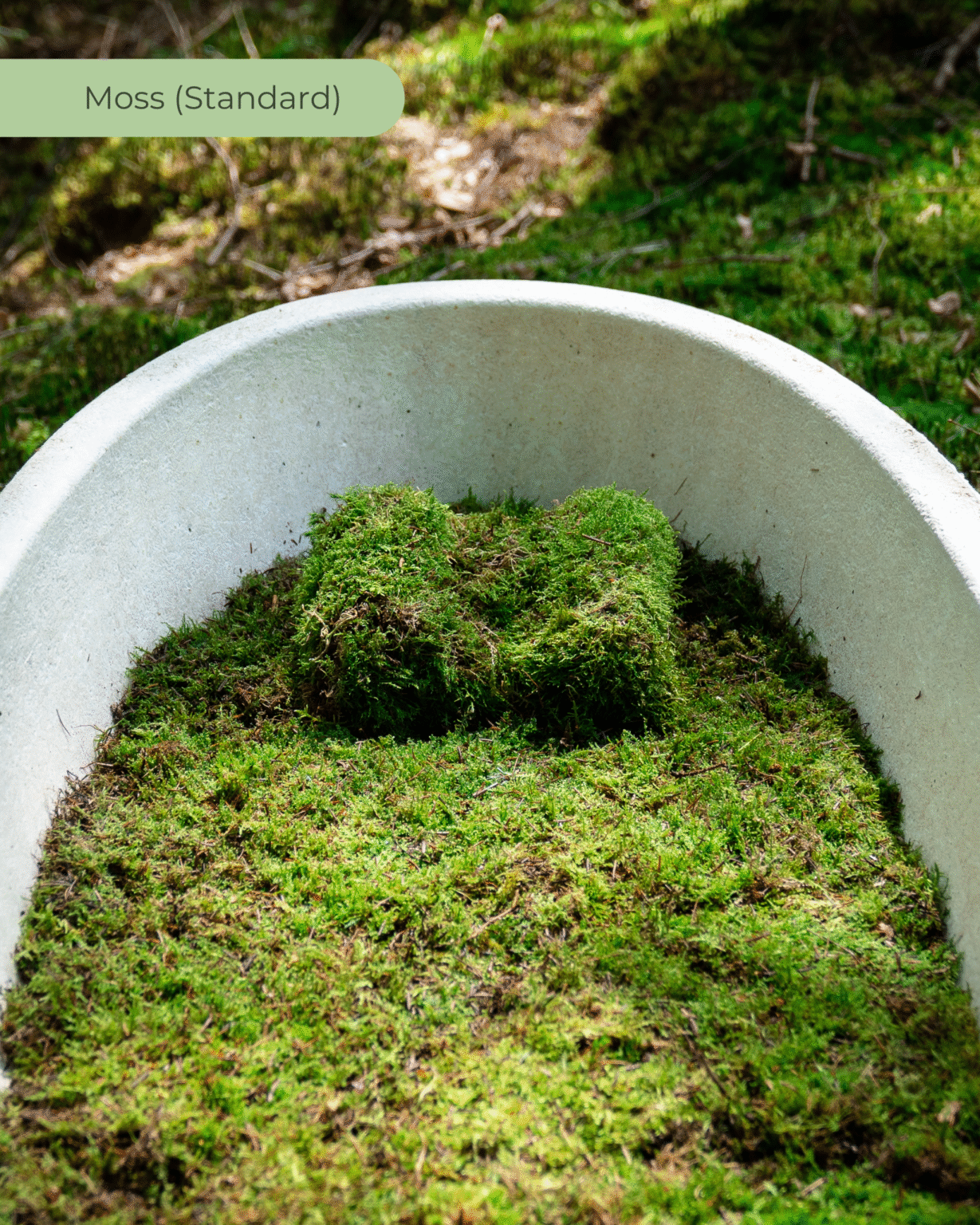 Loop Living Cocoon™ - Loop Biotech