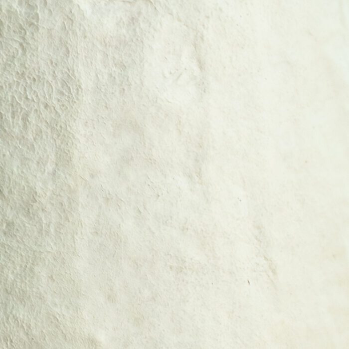 Loop Living Cocoon™ - Loop Biotech